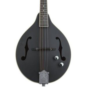 Luna Moonbird A-Style Acoustic-Electric Mandolin Essentials Bundle ...