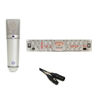 Neumann U 87 Ai Set Large-diaphragm Condenser Microphone- Nickel ...