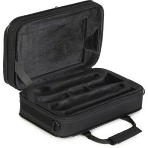 Clarinet Cases, Covers, & Bags - Sweetwater