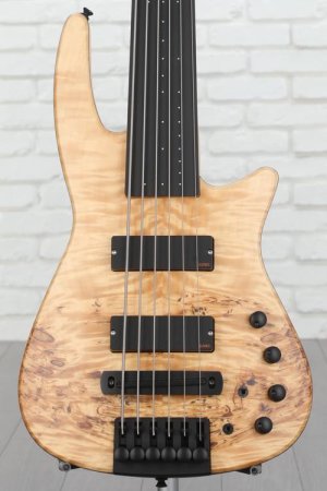 6-string Fretless Bass Guitars - Sweetwater