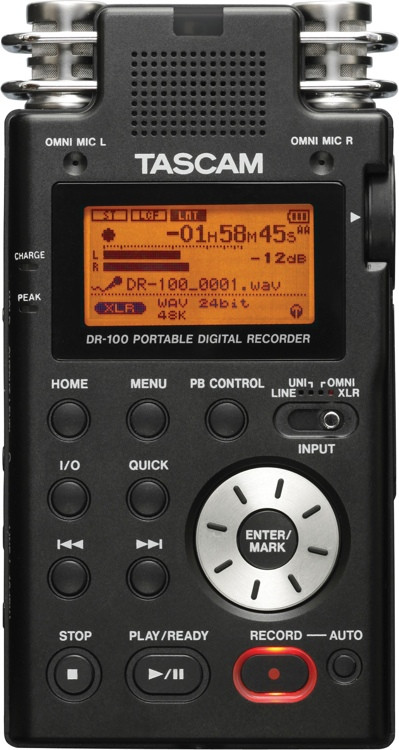 TASCAM DR-100 | Sweetwater