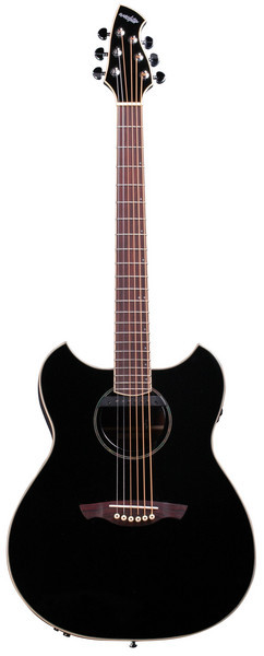 Wechter Guitars Deluxe Pathmaker Model 3101L with 3 Pickup System ...