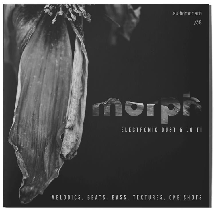 Audiomodern Morph Sample Pack | Sweetwater