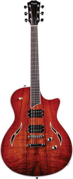 Taylor T3 Semi-Hollowbody Electric - 35th Anniv Ltd Feathered KOA ...