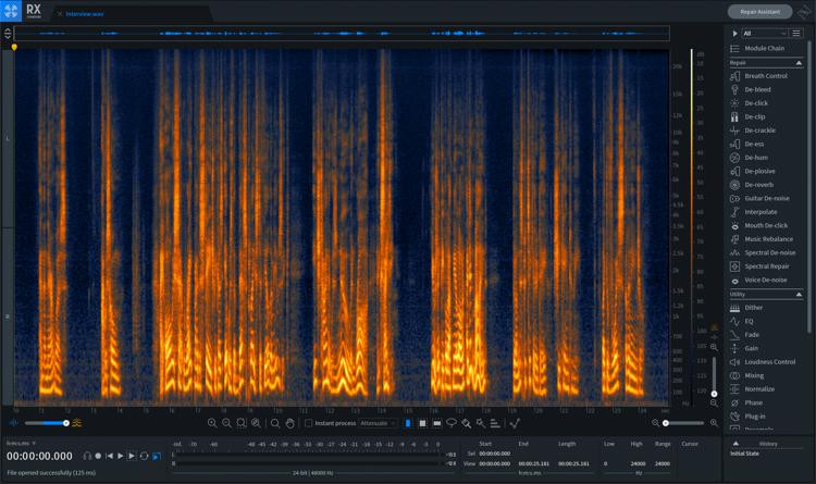 iZotope RX 9 Standard Audio Repair Software | Sweetwater