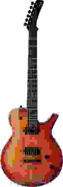 Parker PM-20 PRO - Flame Maple Honey Burst | Sweetwater