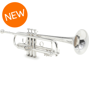 Bach Stradivarius - Sweetwater