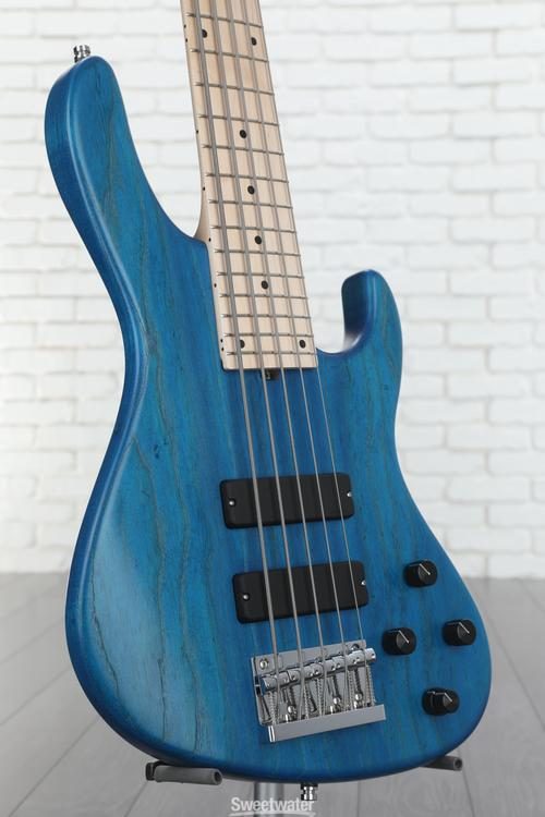 Sadowsky 5 String Bass