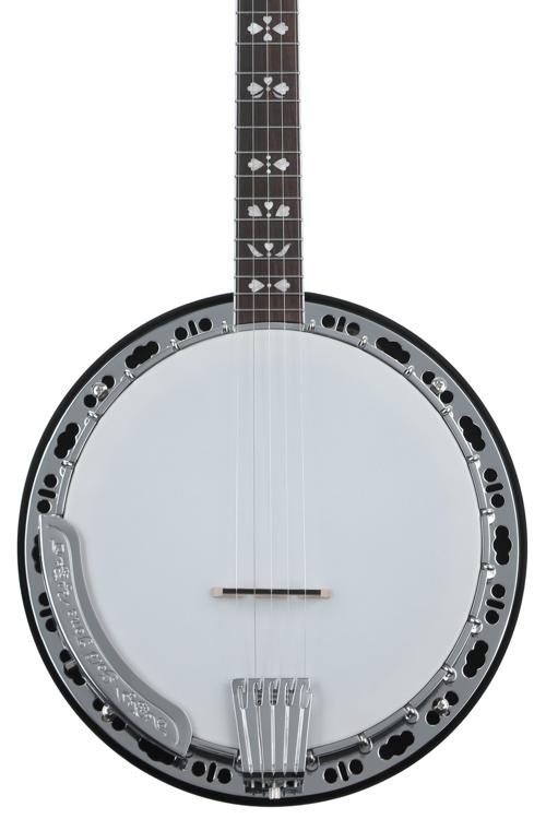 Gold Tone BG-150F Bluegrass Resonator Banjo - Vintage Brown High Gloss ...