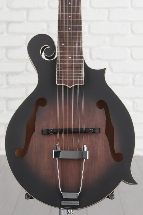 Gold Tone F-12 12-string Acoustic-electric Mando-Guitar - Tobacco ...