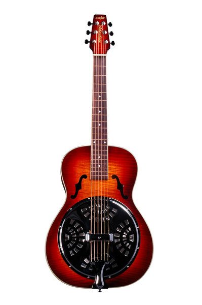 Wechter Guitars Scheerhorn Model Resonator Model 6524F with Schertler ...