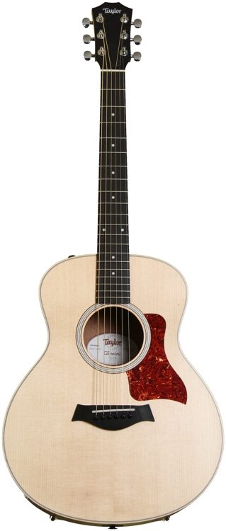 Taylor GS Mini | Sweetwater