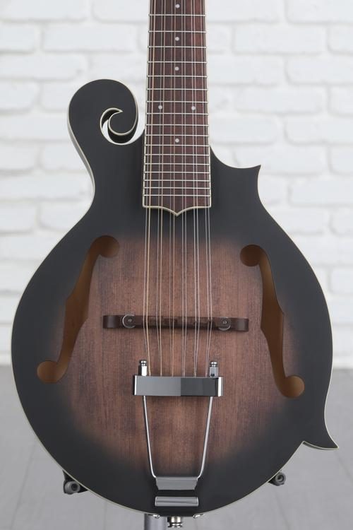 Gold Tone F-12 12-string Acoustic-electric Mando-Guitar - Tobacco ...