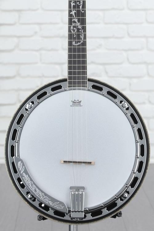Ibanez B300 5-string Resonator Banjo | Sweetwater