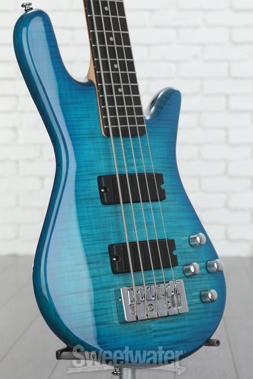 Spector 5 String Bass