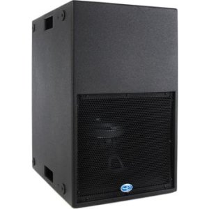 Danley Sound Labs FLX12 12-inch 300W Coaxial Passive Floor Monitor ...