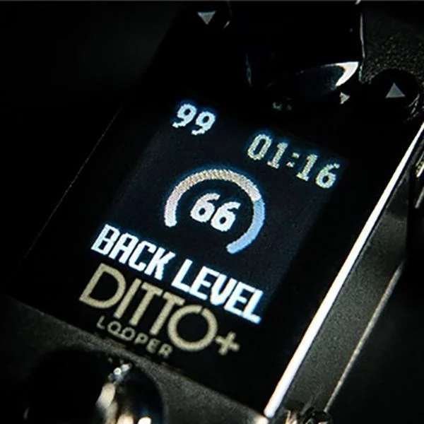 TC Electronic Ditto+ Looper Pedal | Sweetwater