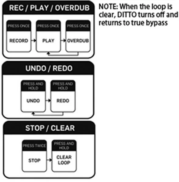 TC Electronic Ditto+ Looper Pedal | Sweetwater