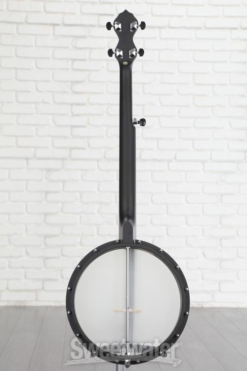 Gold Tone AC-12FL - 12-inch Fretless Acoustic Composite 5-string Open ...