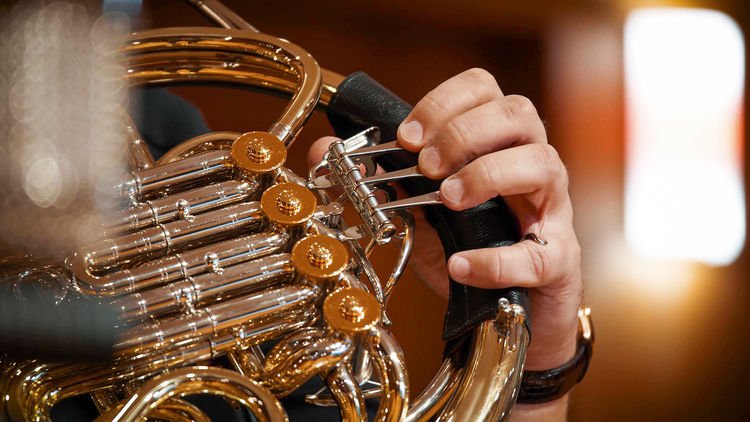 Vienna Symphonic Library Synchron Brass - Full Library | Sweetwater