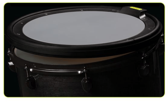 Nfuzd Audio Nspire Tom Pad - 8" | Sweetwater