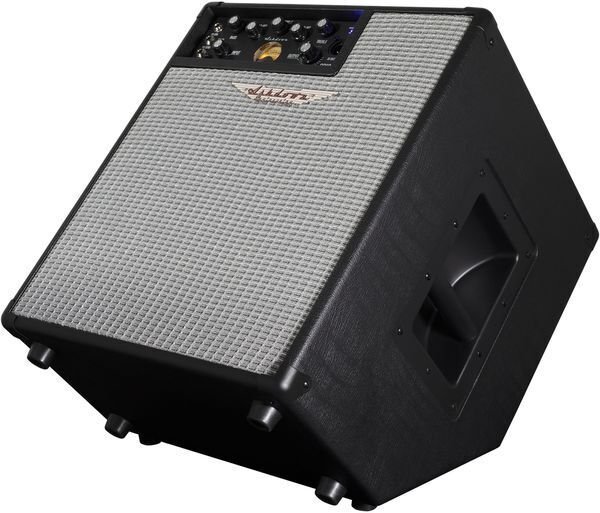 Ashdown OriginAL EVO C112T 300-watt, 1 x 12-inch Bass Combo Amplifier ...
