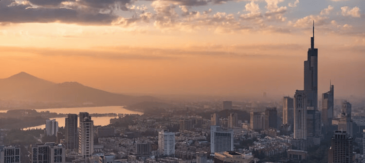 DJI RS 4 Pro Combo Gimbal Stabilizer | Sweetwater