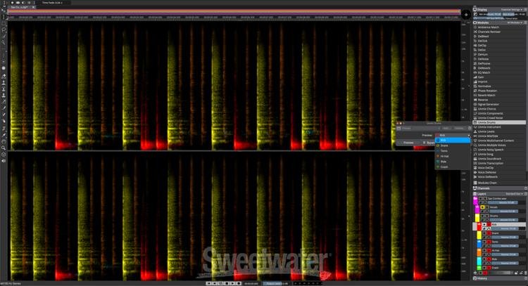 Steinberg SpectraLayers Pro 12 Audio Restoration Software - Upgrade from SpectraLayers Elements ...