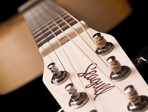 Seagull Guitars Excursion Folk with Fishman Isys+ - Natural | Sweetwater