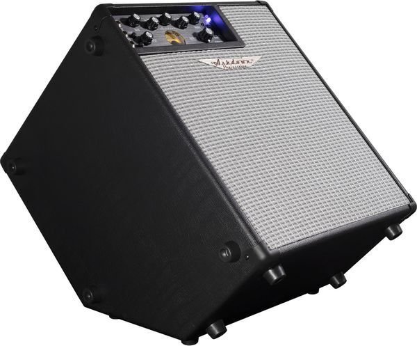 Ashdown OriginAL EVO C112T 300-watt, 1 x 12-inch Bass Combo Amplifier ...