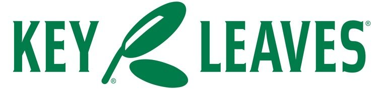 Key Leaves Spit Sponge Woodwind Pad Dryer | Sweetwater