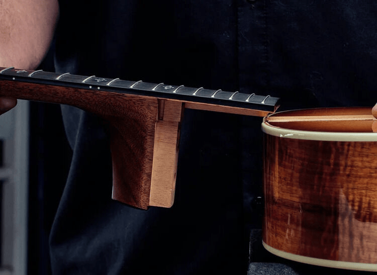 Taylor Next Generation Builder's Edition 814ce LTD Macassar Ebony ...