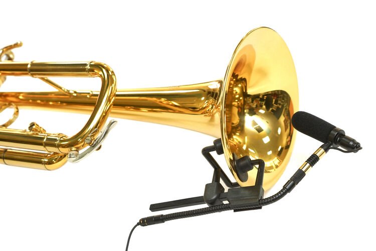 Acacia Audio LIZ-Instrument Gooseneck Microphone - Horn | Sweetwater