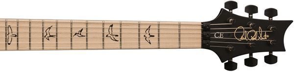 PRS Dustie Waring CE24 LTD - Waring Burst Satin | Sweetwater