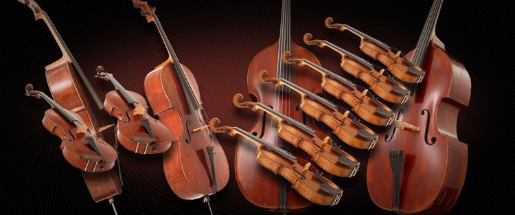 Vienna Symphonic Library Chamber Strings Bundle - Full Library | Sweetwater