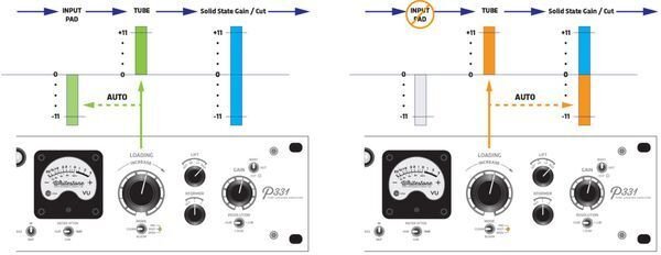 Whitestone Audio P331 Tube-loading Amplifier - EVL Version | Sweetwater