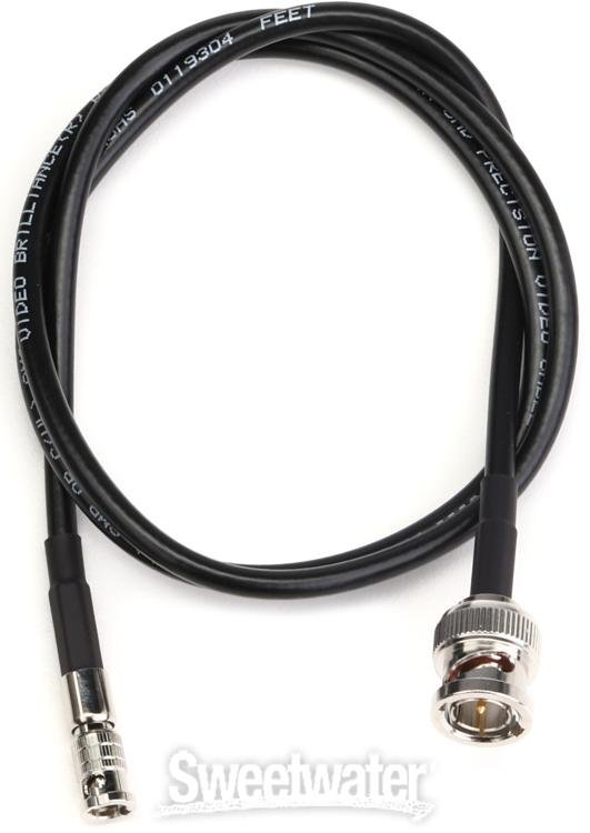 Blackmagic Design Micro BNC to BNC Male Adapter Cable - 27.5 inches | Sweetwater