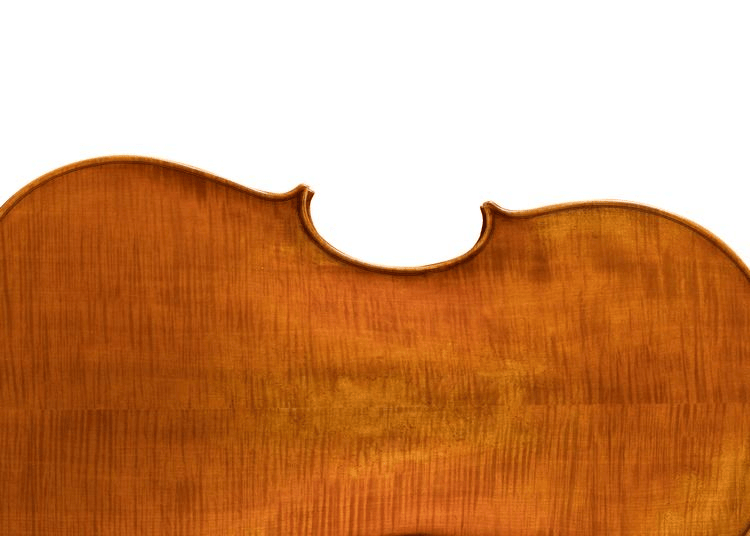 Eastman VC702 Wilhelm Klier Professional Cello - 4/4 Size, Guarneri Pattern | Sweetwater