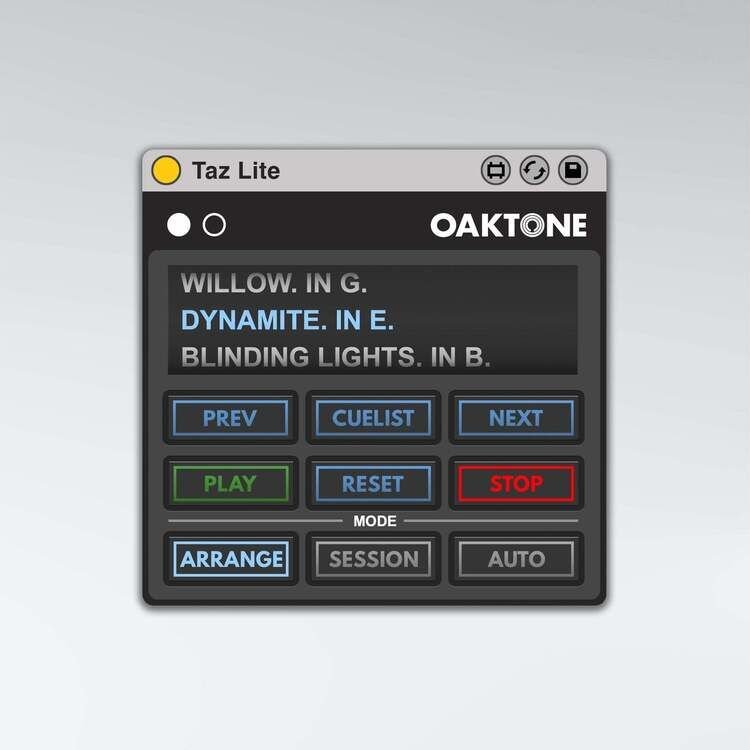 Oaktone Oakboard Floor Vista MIDI Footswitch Controller | Sweetwater