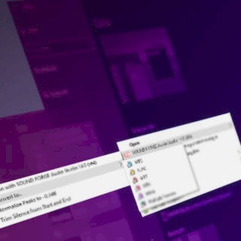 MAGIX Sound Forge Pro 14 for Windows | Sweetwater