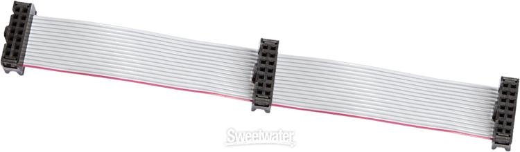 Marian TDM SyncBus Cable | Sweetwater