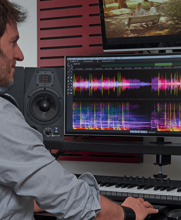 Steinberg SpectraLayers Elements 10 - Upgrade from SpectraLayers Elements 8/7/6 | Sweetwater