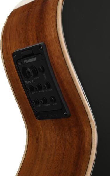 Luna Vista Wolf Acoustic-electric Guitar - Gloss Natural | Sweetwater