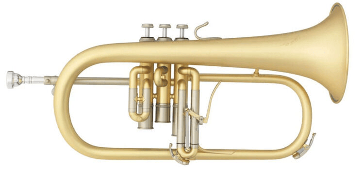 B&S 3148 Challenger II Professional Flugelhorn - Elaboration Matte ...