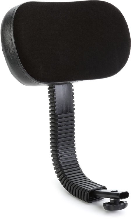 Ahead Spinal-G Gas Throne Backrest | Sweetwater