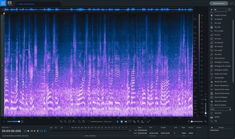 iZotope RX 9 Advanced - Upgrade from Any Version of RX Standard ...