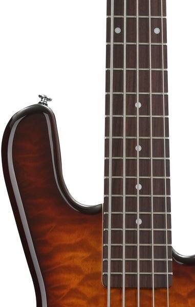 Spector Legend 5 Standard - Sunburst Gloss | Sweetwater