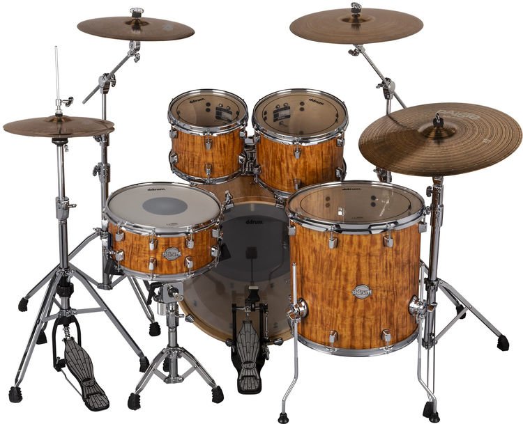 ddrum Dominion Birch 5-piece Shell Pack - Satin Bubinga | Sweetwater