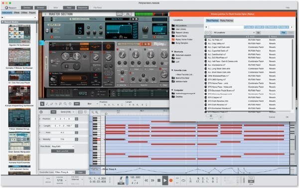 Reason Studios Reason 13 Software - Student/Teacher Single-user License ...