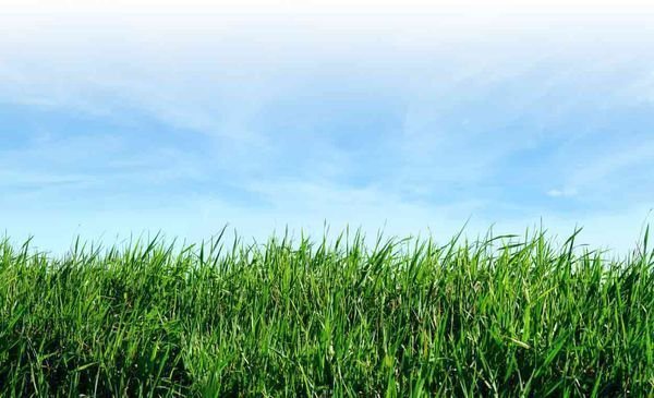 JBL CSA 2120Z 120-watt 2-channel 70V Power Amplifier | Sweetwater